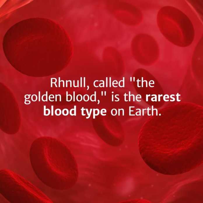The Rare Blood Type named ‘The Golden Blood’ Only 40 people Have Had It