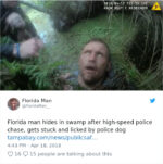 41 Florida Man Headlines & Memes Makes You Read It Twice - ZestVine - 2025
