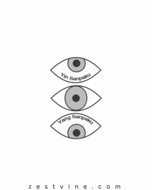 What are Sanpaku Eyes? And What They Mean for Your Future