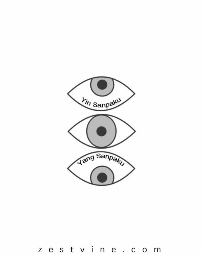What are Sanpaku Eyes? And What They Mean for Your Future