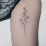 41 Baby S Breath Tattoo Designs Ideas For You